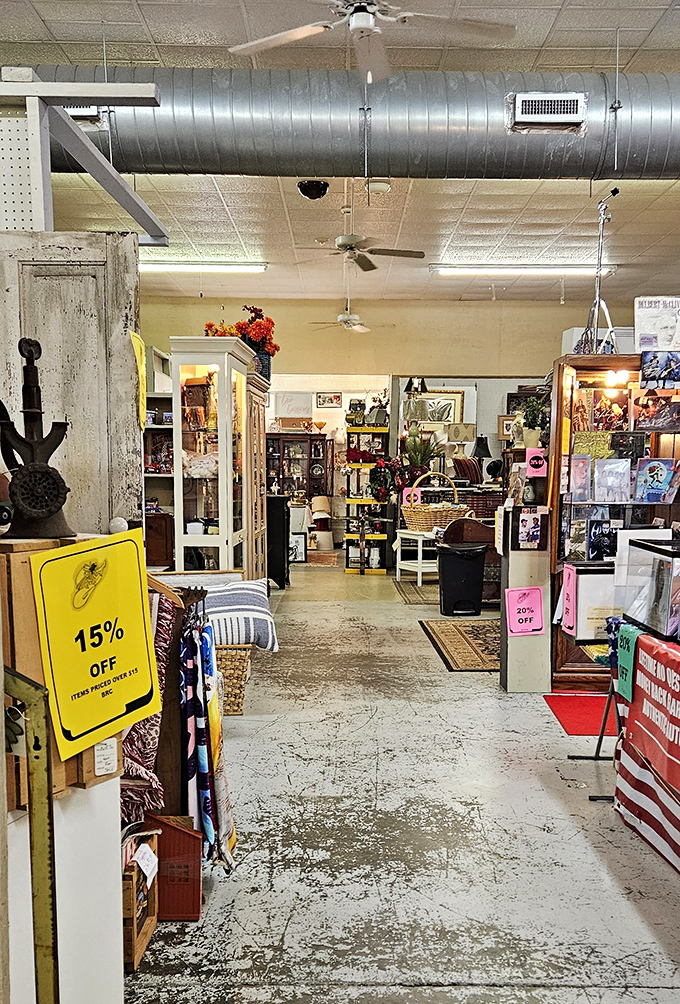 Aisles stretch into infinity, each turn revealing another vendor's carefully curated collection – it's like Netflix for nostalgia addicts.