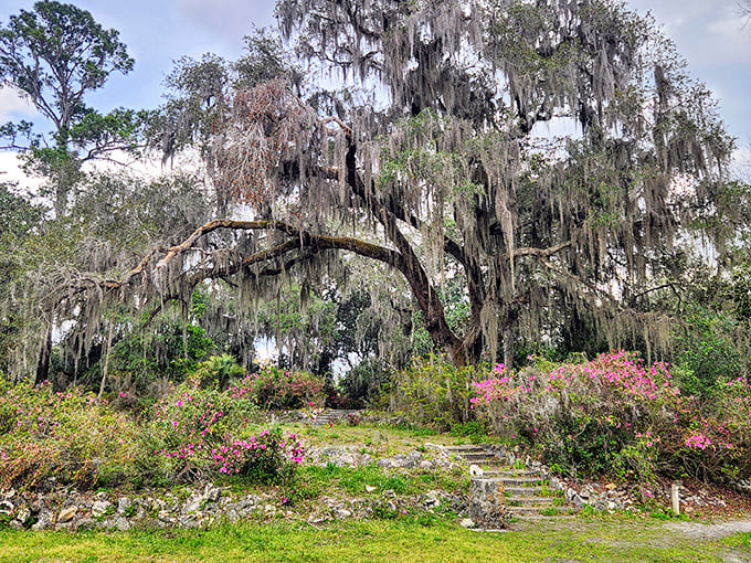 Mother Nature showing off under a canopy of Spanish moss. This oak at Ravine Gardens State Park has witnessed more Florida history than a lifetime of documentaries.