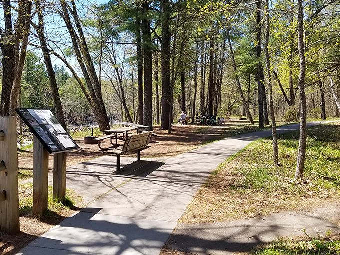 Peaceful pathways wind through sun-dappled pine forests, offering benches for those moments when you need to sit and simply breathe.