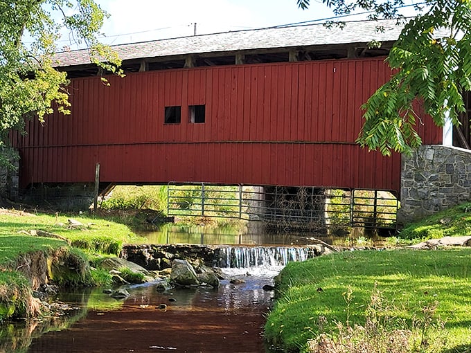 Like a crimson bookmark in nature's novel, the bridge creates a perfect frame for the autumn landscape beyond.