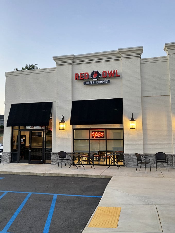 Red Owl Coffee Company isn't just serving caffeine; it's offering a morning ritual worth getting out of your pajamas for. Those outdoor tables practically beg for lingering conversations.