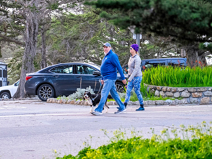Even the daily dog walk becomes an event in Carmel, where four-legged friends are treated like the celebrities they truly are.