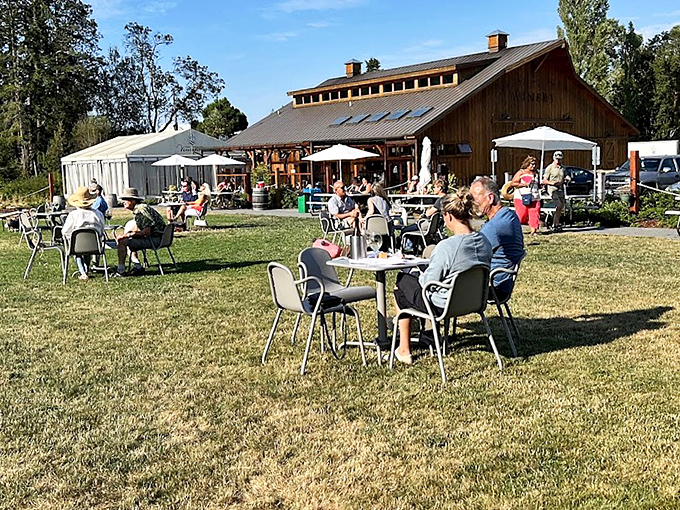 At Finnriver Farm & Cidery, locals gather under open skies to sip artisanal ciders and share stories&mdash;retirement never tasted so good.