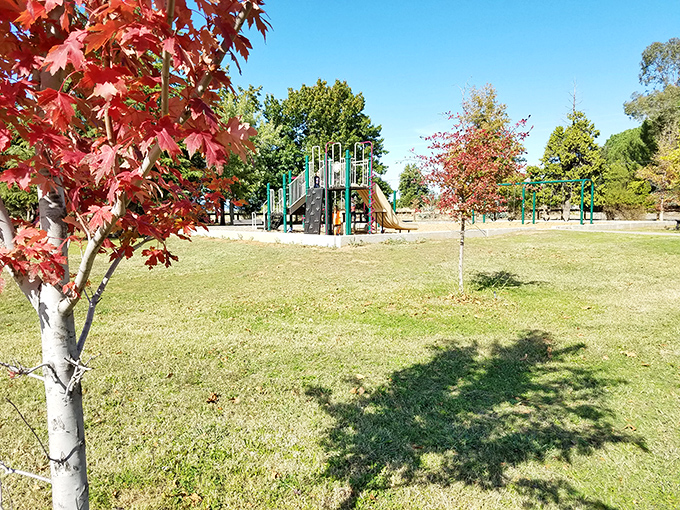 Fall foliage provides nature's perfect frame for this community playground, where maple leaves upstage even the most colorful playground equipment.
