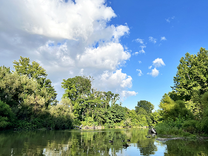 A perfect mirror for passing clouds, this tranquil wetland offers front-row seats to nature's daily performance&mdash;complete with duck headliners.