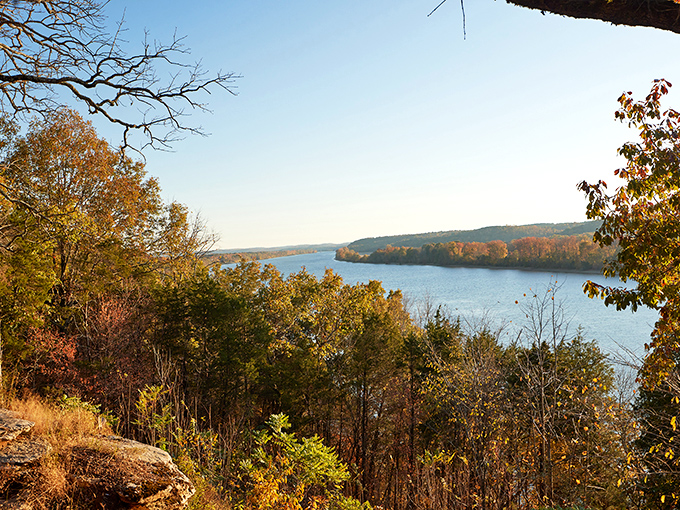Fall's paintbrush transforms the riverscape into a masterpiece of amber and gold, proving Tennessee doesn't need a filter to look spectacular.
