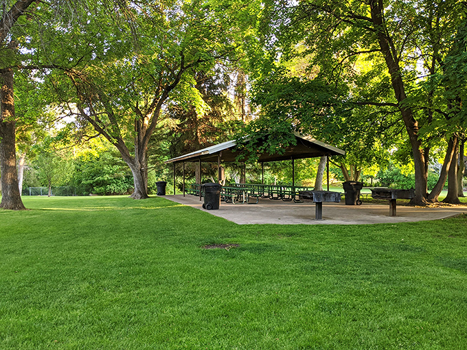 River Hollow Park's picnic pavilion waits patiently for your family gathering, like a faithful friend who always has shade and seating ready.