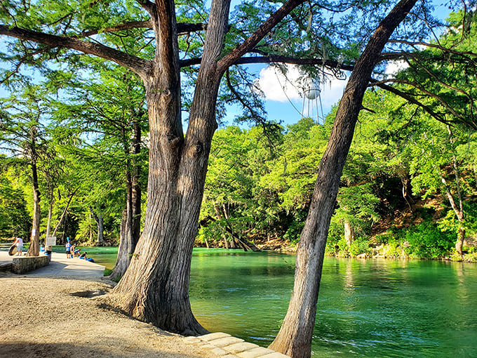 Cypress sentinels guard the emerald waters of the Guadalupe River, where time flows as lazily as the current on a summer afternoon.