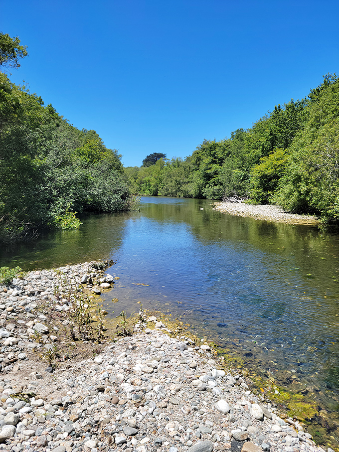 The Big Sur River pauses for a moment of reflection, offering a crystal-clear mirror to the California sky.
