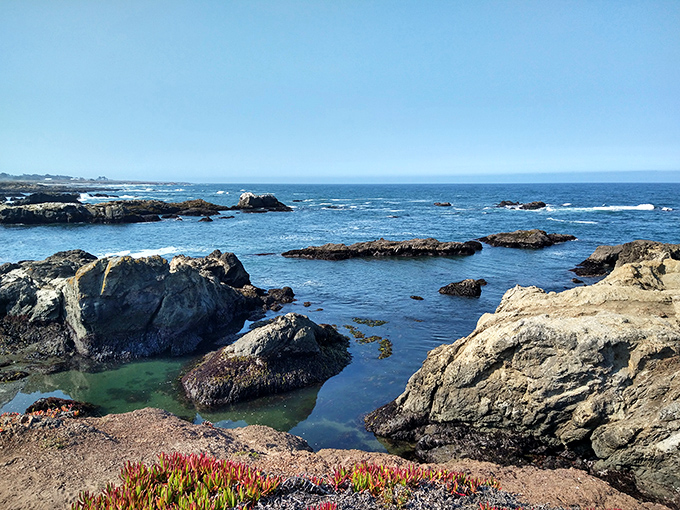 Nature's aquarium on display. These tide pools host more colorful characters than your average family reunion.