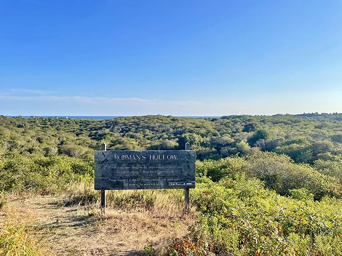 Rodman's Hollow offers a wilderness escape where you can almost hear the island whispering its ancient glacial secrets.