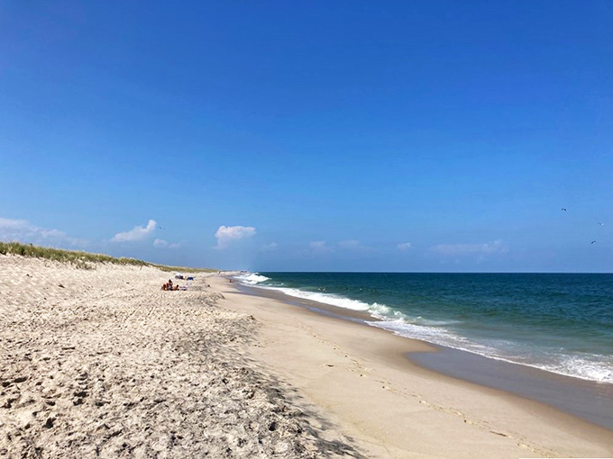 Miles of pristine coastline where the only traffic jam involves deciding which direction to walk first.
