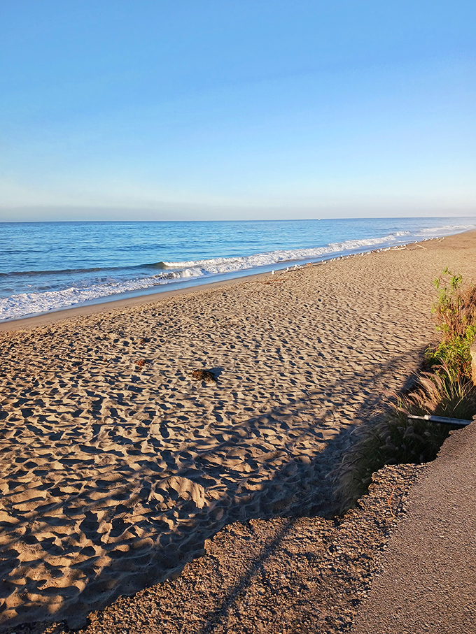 The golden stretch where mountains meet ocean in perfect harmony. Like California itself, this beach balances rugged beauty with inviting warmth.