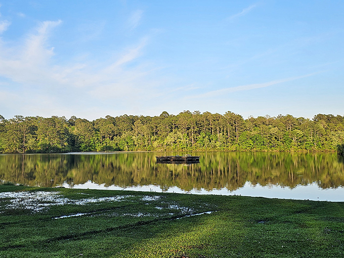 Mirror, mirror on the lake... The perfect stillness creates nature's own Instagram filter, no photo editing required.