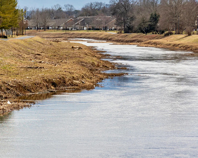The peaceful Little Pigeon River meanders through town like nature's own lazy river ride, offering fishing spots that don't require a second mortgage.