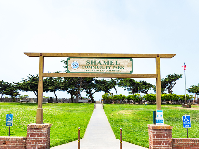 Shamel Park: where the grass is actually greener on the other side. A perfect picnic spot when your soul needs recharging.