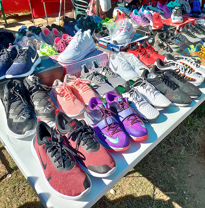 A rainbow of athletic footwear stands at attention, each pair whispering promises of new adventures&mdash;or at least conversations about your excellent taste.