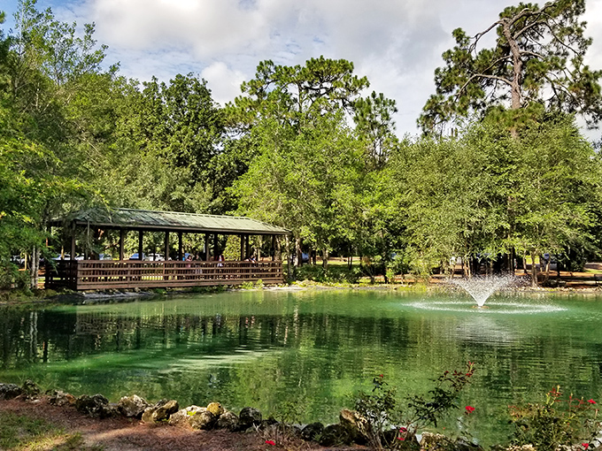 Sholom Park's emerald waters reflect the surrounding greenery, creating a tranquil oasis where time slows down and nature puts on a show worthy of premium cable.