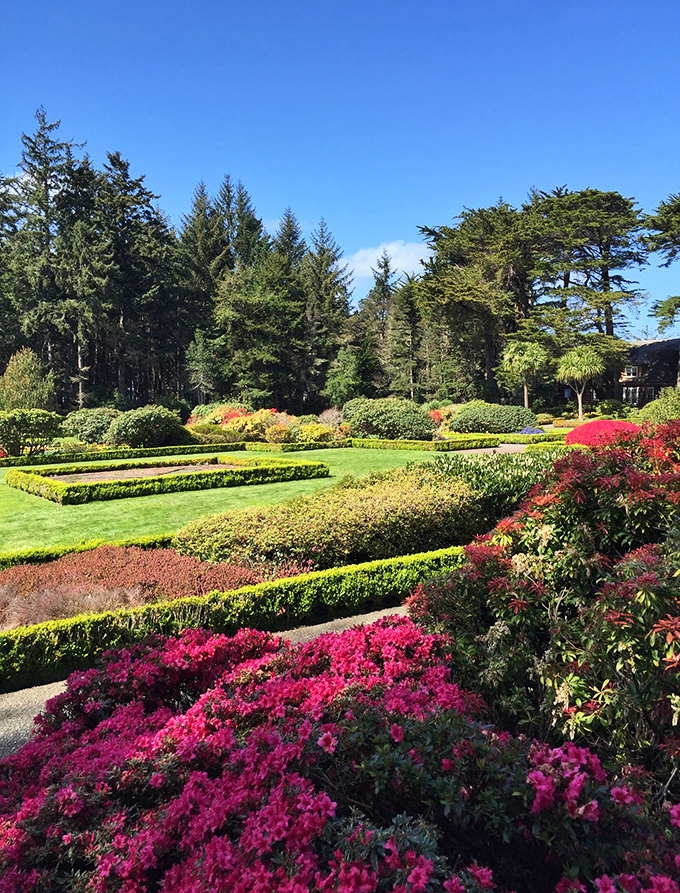 Nature showing off at Shore Acres State Park with formal gardens that would make Versailles jealous. When rhododendrons bloom here, they don't just whisper&mdash;they sing!