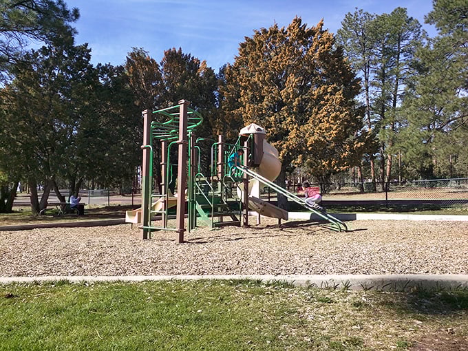 This playground at Show Low City Park isn't just for kids&mdash;it's where grandparents discover their inner child while the Social Security check covers rent back home.