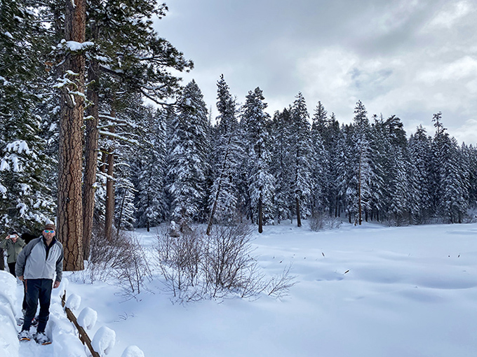 Winter transforms the trails into a frosted wonderland where every step crunches like the world's most satisfying cereal commercial.