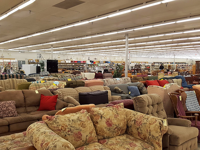 Sofa safari at its finest! Each floral pattern and plaid cushion represents someone's once-beloved living room centerpiece, waiting for its second act.