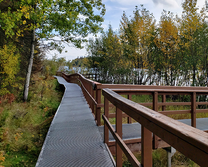 This boardwalk doesn't have cotton candy or carnival games, but the prize views of Alaskan wilderness beat any stuffed animal.