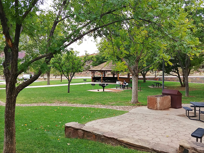 Shade trees and picnic tables&mdash;sometimes the best vacation moments happen at exactly zero miles per hour.