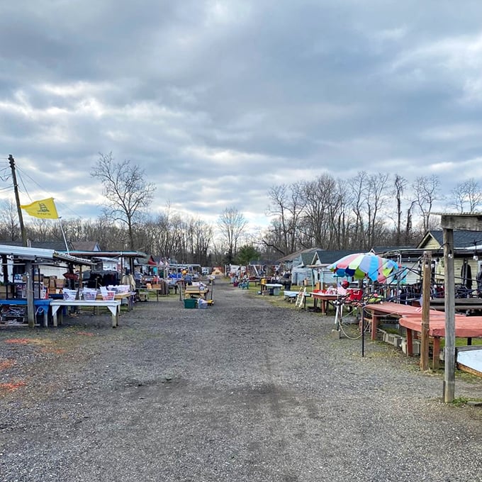 Winter skies can't dampen the spirits at New Egypt Flea Market Village, where dedicated vendors and bargain hunters brave the elements for that perfect find.