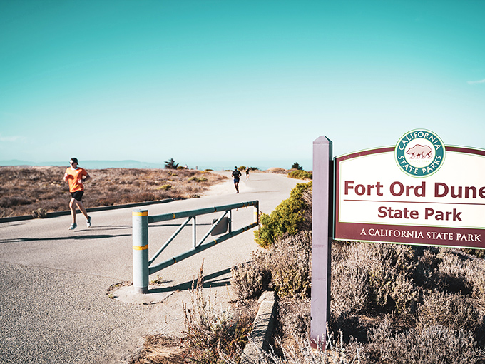 The unassuming entrance that leads to extraordinary beauty. Like finding a Michelin-starred restaurant in a strip mall, the best discoveries often hide in plain sight.