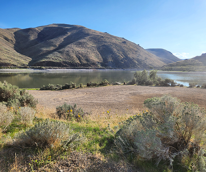 The Snake River creates mirror reflections that make you question whether you're looking up or down at heaven.