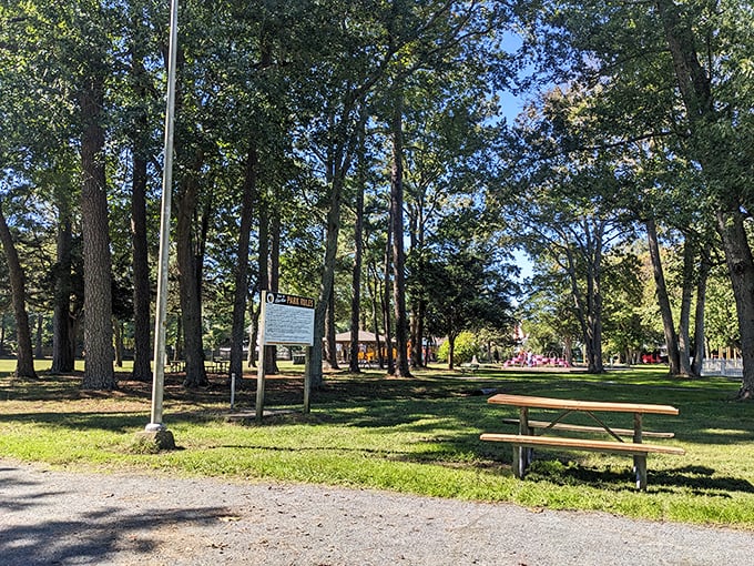 Stephen Decatur Park offers a tranquil retreat where the only notification you'll receive is from chirping birds inviting you to unplug.