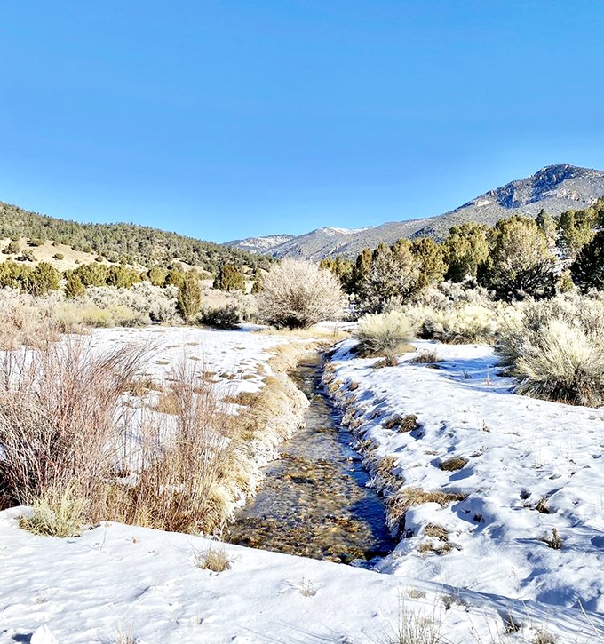 Winter's magic transforms Steptoe Creek into a glistening ribbon of life cutting through snow-dusted terrain near Cave Lake.