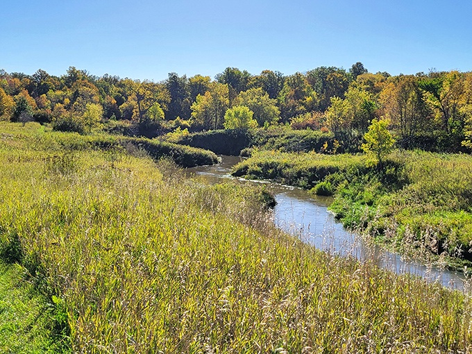 The Tongue River carves its patient path through the prairie, a reminder that the most beautiful journeys rarely follow straight lines.