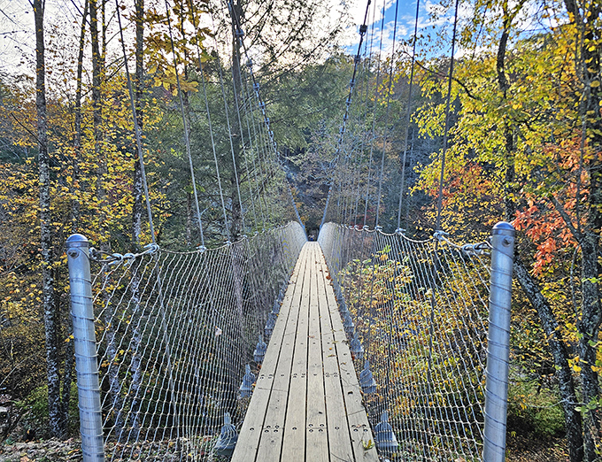 Life's greatest thrills often come with a slight wobble. This suspension bridge offers equal parts adventure and breathtaking autumn views.