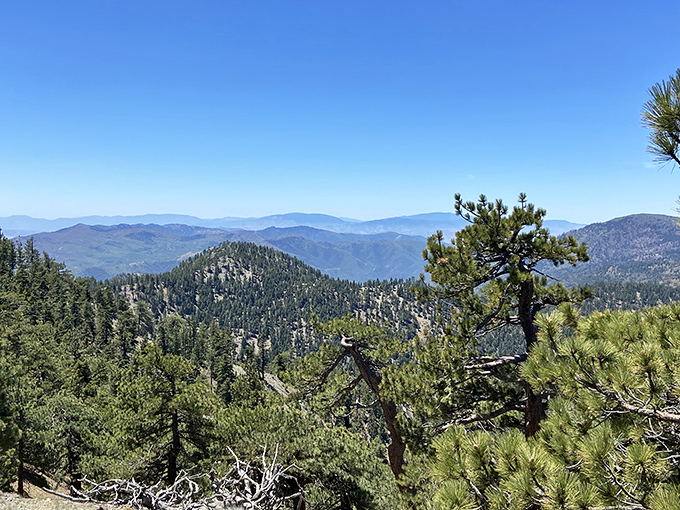 Nature puts on a show in the Tehachapi Mountains, where pine-scented air and panoramic views come standard with every hike.