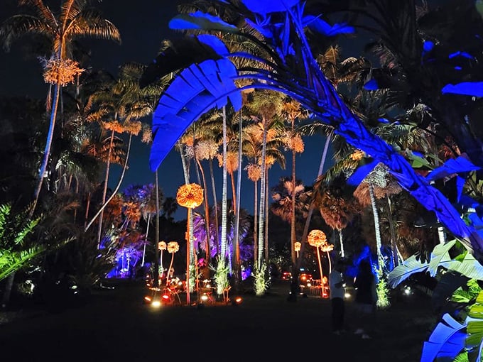 The NightGarden transforms familiar palms into electric fantasies. Like someone gave Mother Nature a set of neon markers and said, "Go wild!"