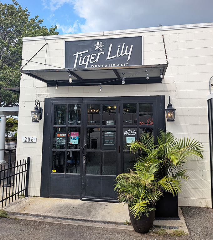 Tiger Lily's unassuming exterior hides a culinary wonderland inside. Like finding a Michelin-worthy meal in your grandmother's living room.