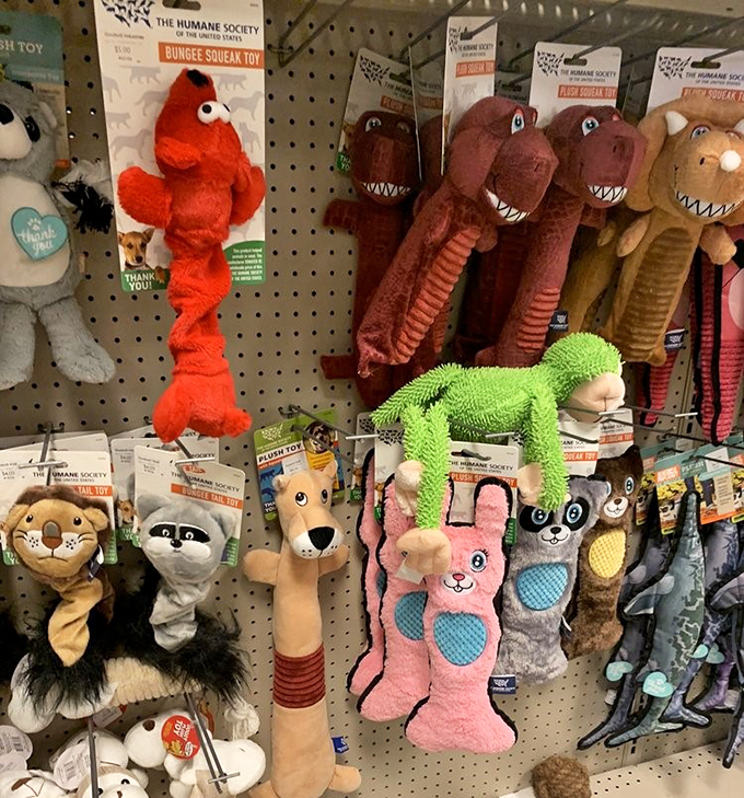 These colorful critters aren't just pet toys&mdash;they're future best friends waiting to bring joy to new homes at fraction-of-retail prices.