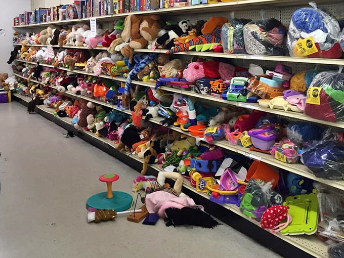 A stuffed animal kingdom awaits adoption. This toy section could single-handedly stock a daycare center or grandparent's emergency toy chest.