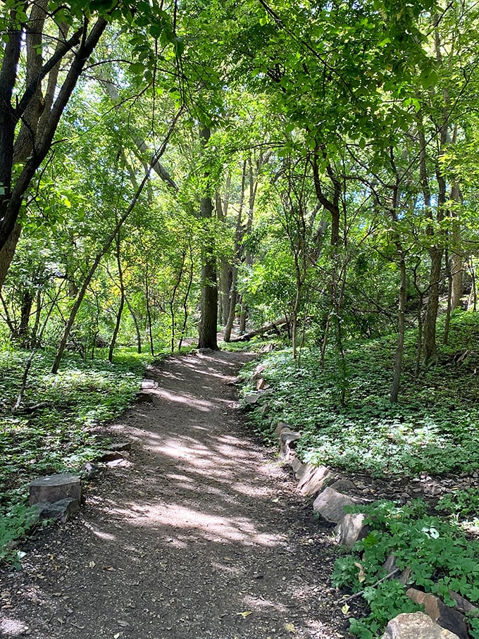 Dappled sunlight creates nature's disco floor along this serene trail. Walking here feels like stepping into a painting that someone forgot to finish.