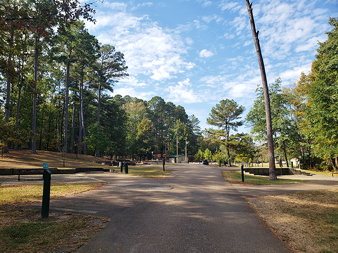 The park's winding roads offer a gentle reminder that the best destinations aren't rushed to &ndash; they're savored like a slow-cooked Sunday roast.