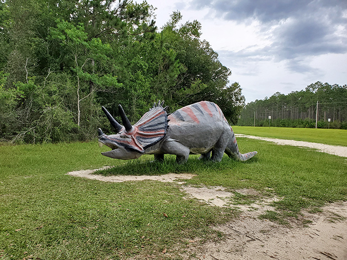 Excuse me, do you have a moment to talk about prehistoric conservation? This life-sized triceratops appears ready to lumber back to life among the pines.