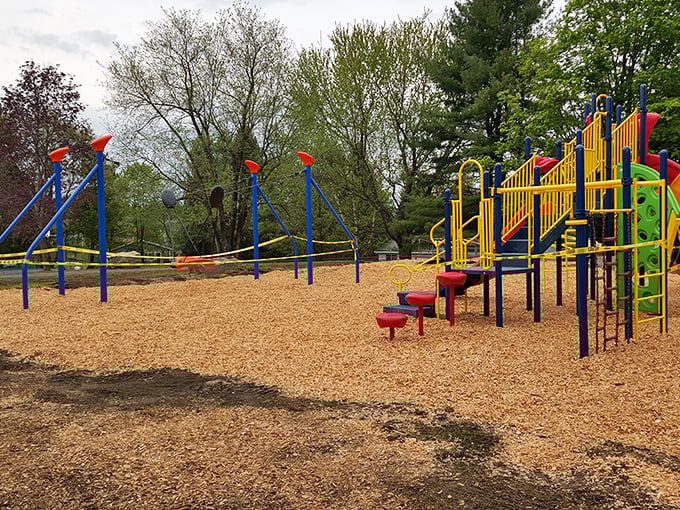 Playgrounds: where kids burn energy and parents silently thank the universe for fifteen minutes of peace while pretending to check important emails.