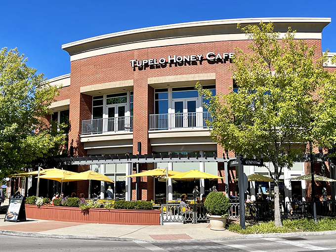 Tupelo Honey's sunny patio invites you to linger over biscuits and sweet tea while watching the world stroll by at a decidedly Tennessee pace.