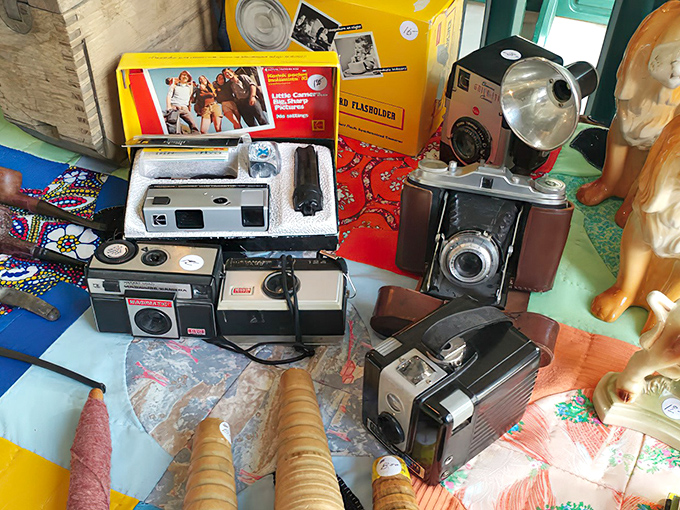 Before selfies and smartphones, these mechanical marvels captured memories on actual film—each with stories as rich as the photos they took.