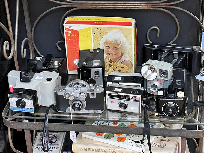 These cameras once captured someone's wedding day or baby's first steps. Now they're waiting for their second act in your Instagram-worthy display.