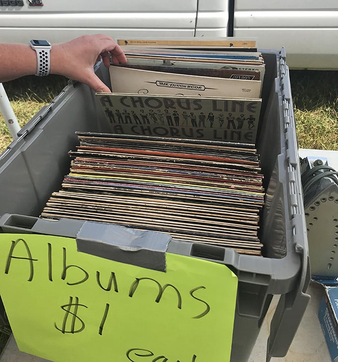 Vinyl treasures at just $1 each! In an age of digital streaming, there's something magical about flipping through albums that once soundtracked someone else's memories.