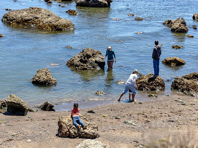 Tidepooling becomes an impromptu family adventure as curious explorers discover the miniature universe hiding between rocks and waves.