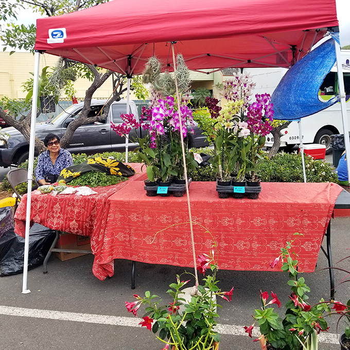 At Waianae Farmers Market, orchids compete with fresh produce for your attention, proving paradise isn't just about beaches.